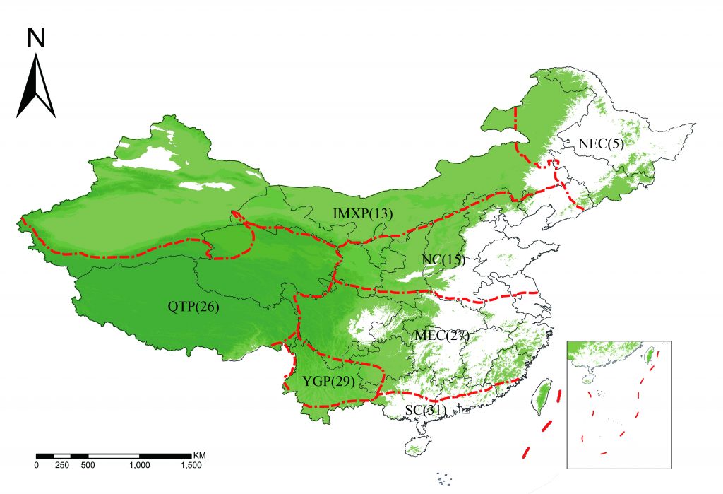 Species – Oaks of China
